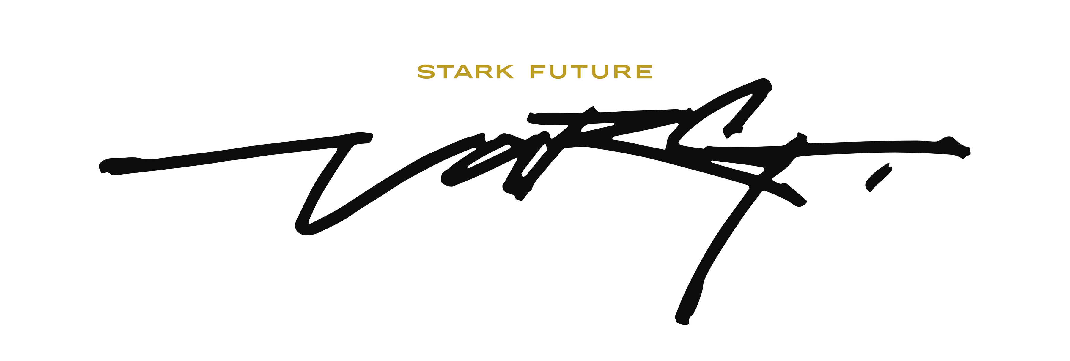 Stark Varg – ZoomBikes